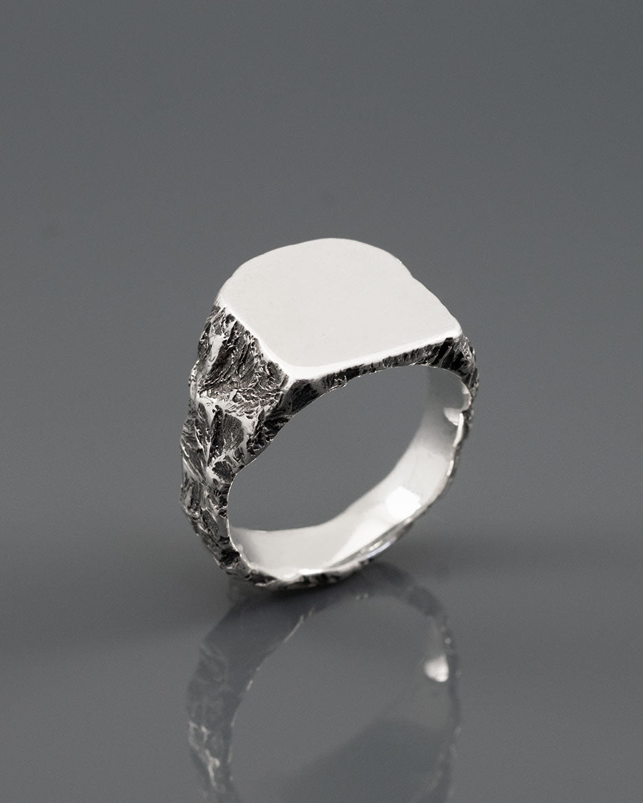 CEMENTAR-SIGNET-RING // GONE.ARCHIVE - Artisan Jewellery